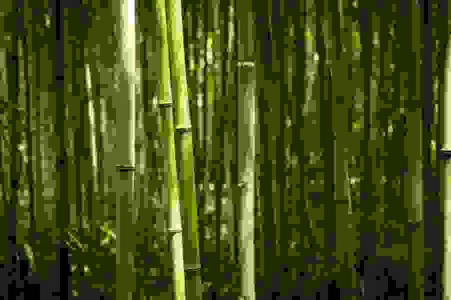 Ladies' Bamboo Underwear - Spairs